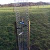 Contact Us - Warwickshire Walnuts & Trees